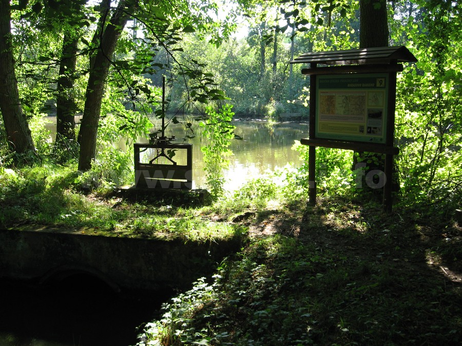 Naučná stezka Pňovský luh | stezky.info
